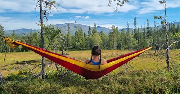 DIY - naturlig nok - Peder Morset folkehøgskole